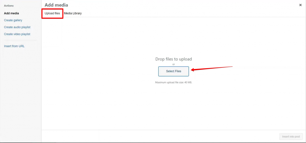How do I embed a PDF in an Elementor? - WebsiteBuilderInsider.com