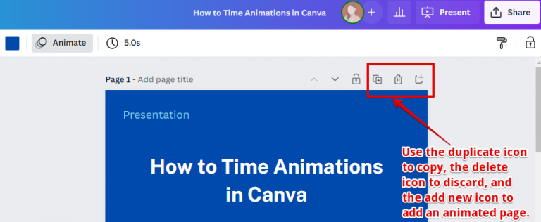 Can You Time Animations in Canva? 2024 Full Guide ...