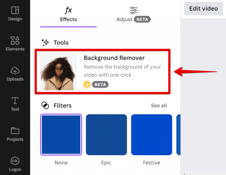 Can You Remove Video Background in Canva? - WebsiteBuilderInsider.com