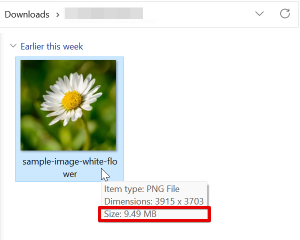Why Is Background Remover on Canva Not Working? - WebsiteBuilderInsider.com