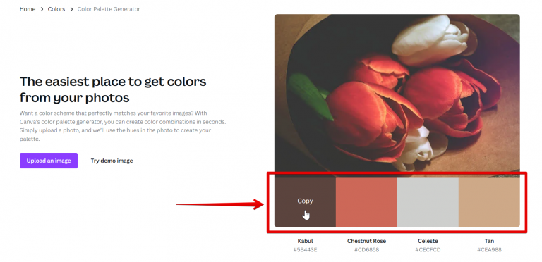 How Do I Copy a Color Palette in Canva? - WebsiteBuilderInsider.com