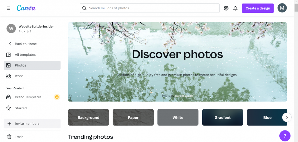 How Do I Download Stock Images From Canva in 2024 ...