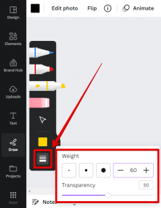 Can I Draw Lines in Canva? - WebsiteBuilderInsider.com