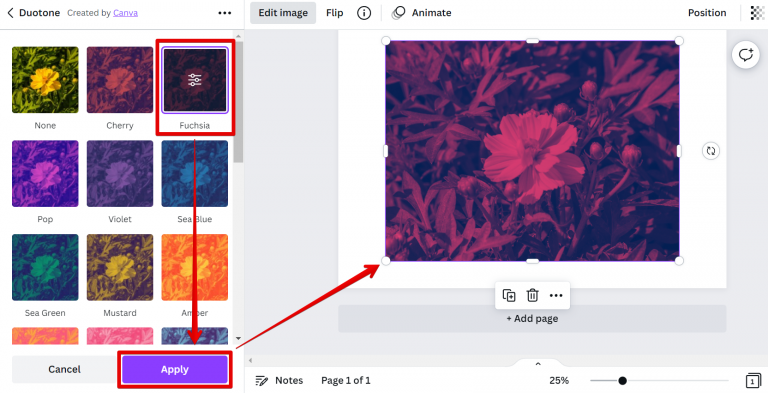 How Do I Change the Color of an Image in Canva? - WebsiteBuilderInsider.com