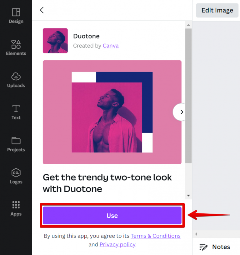 How Do I Change the Color of an Image in Canva? - WebsiteBuilderInsider.com