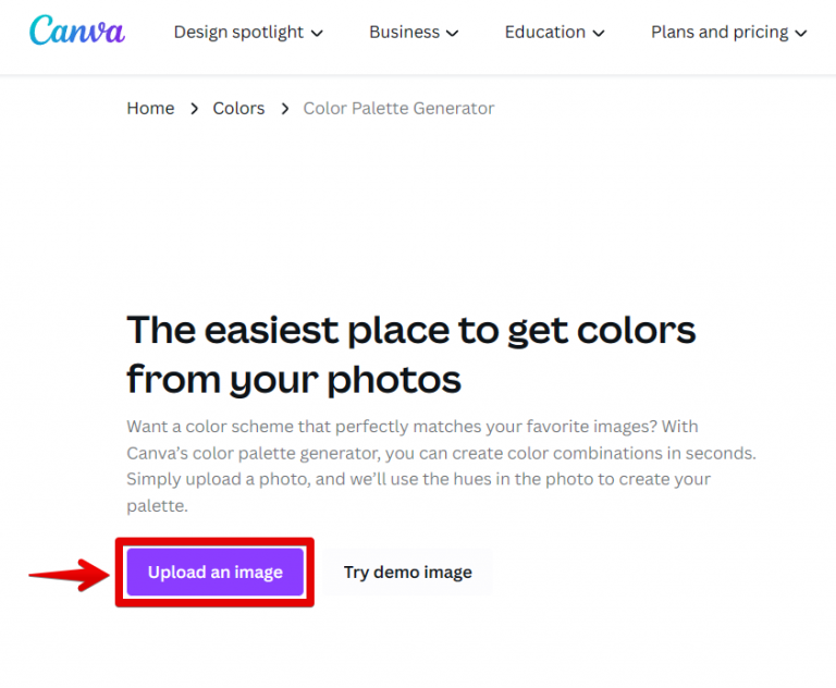 How Do I Copy a Color Palette in Canva? - WebsiteBuilderInsider.com