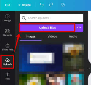 How Do I Embed a PDF in Canva? - WebsiteBuilderInsider.com