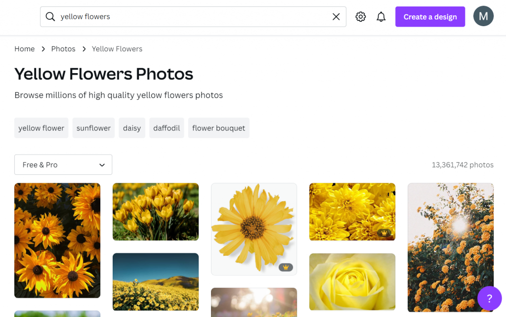 How Do I Download Stock Images From Canva in 2024 ...