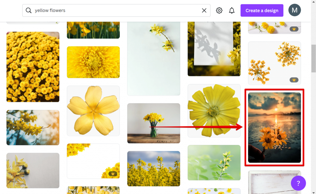 How Do I Download Stock Images From Canva in 2024 ...