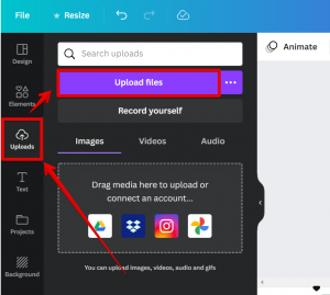 How Do You Use Green Screen on Canva Videos? - WebsiteBuilderInsider.com