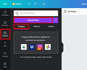 Can You Do Layers in Canva? - WebsiteBuilderInsider.com