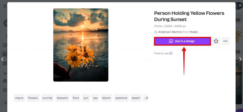 How Do I Download Stock Images From Canva in 2024 ...
