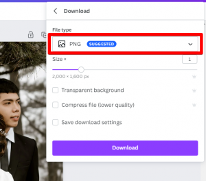 How To Download High Resolution Images From Canva? [Complete 2024 Guide ...