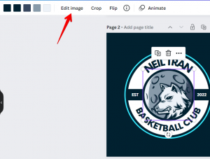 How Do You Change a Logo to All White in Canva? - WebsiteBuilderInsider.com