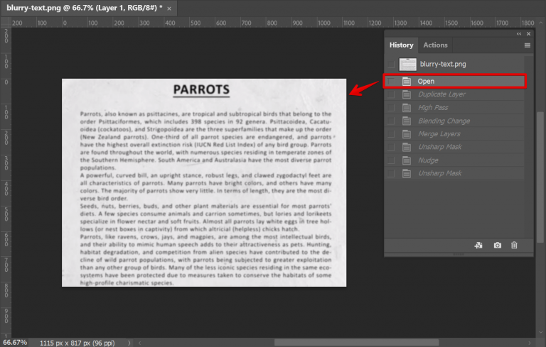 How Do You Preview Before and After in Photoshop ...