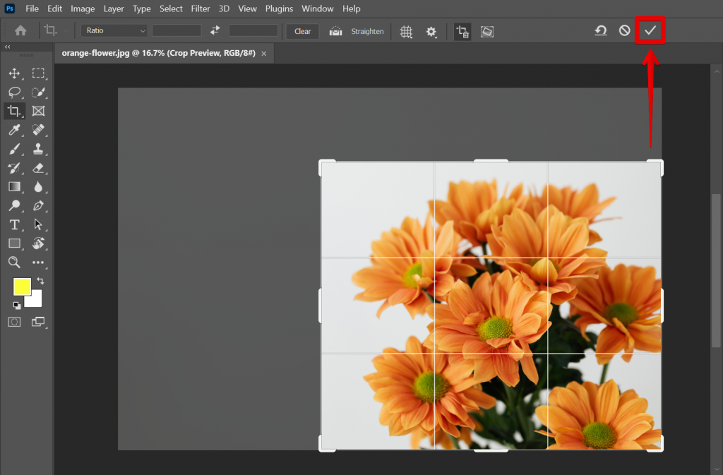 How Do I Crop a Selection in Photoshop? - WebsiteBuilderInsider.com