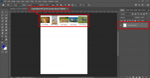 How Do I Print Multiple Images on One Page in Photoshop? - WebsiteBuilderInsider.com