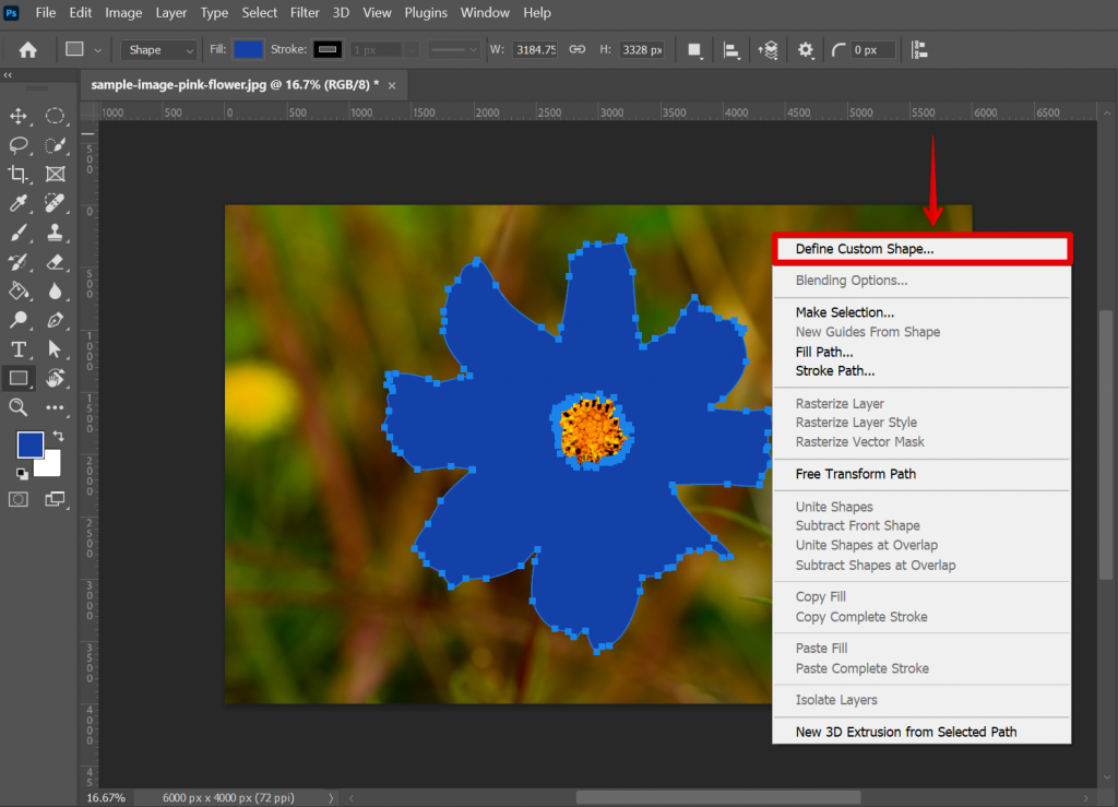Can You Turn a Selection Into a Shape in Photoshop ...