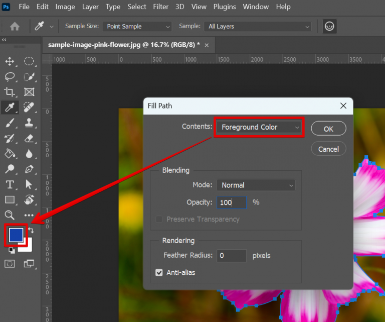 Can You Turn a Selection Into a Shape in Photoshop ...