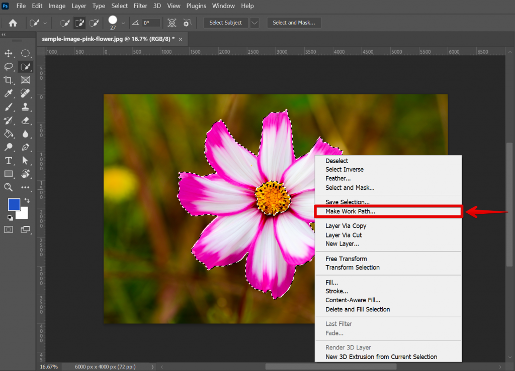Can You Turn a Selection Into a Shape in Photoshop ...