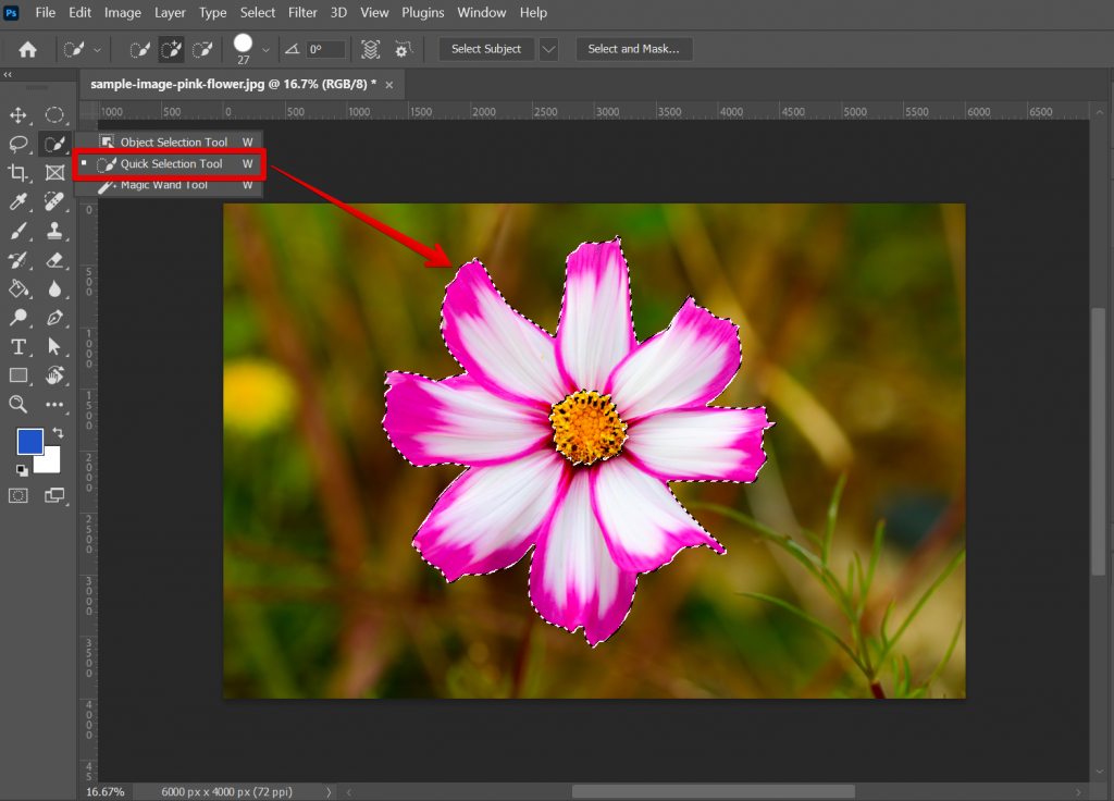 Can You Turn a Selection Into a Shape in Photoshop ...