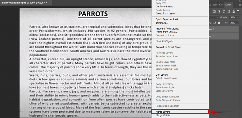 How Do I Fix Blurry Text in Photoshop? - WebsiteBuilderInsider.com