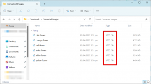 How Do I Convert Multiple Images to JPEG in Photoshop? - WebsiteBuilderInsider.com