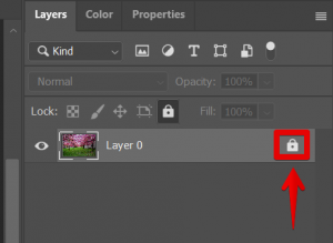 Why Are All My Options Greyed Out in Photoshop? - WebsiteBuilderInsider.com