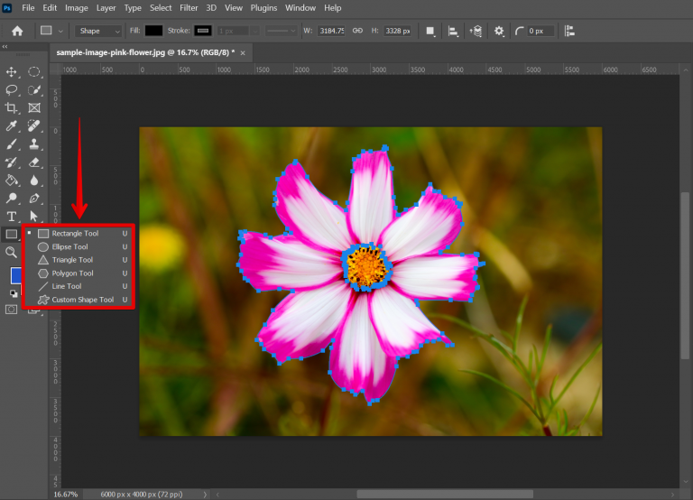 Can You Turn a Selection Into a Shape in Photoshop ...