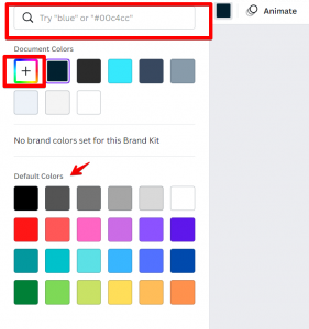 How Do You Change a Logo to All White in Canva? - WebsiteBuilderInsider.com
