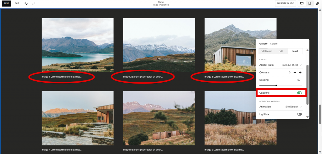 How Do I Add Captions to Photos Squarespace? - WebsiteBuilderInsider.com