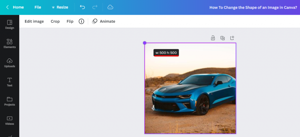 How Do I Change the Shape of an Image in Canva? - WebsiteBuilderInsider.com