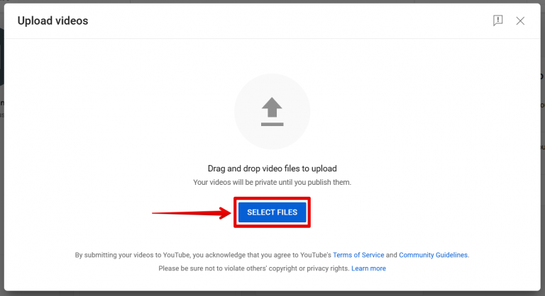 How Do I Upload a Canva Video to YouTube? - WebsiteBuilderInsider.com