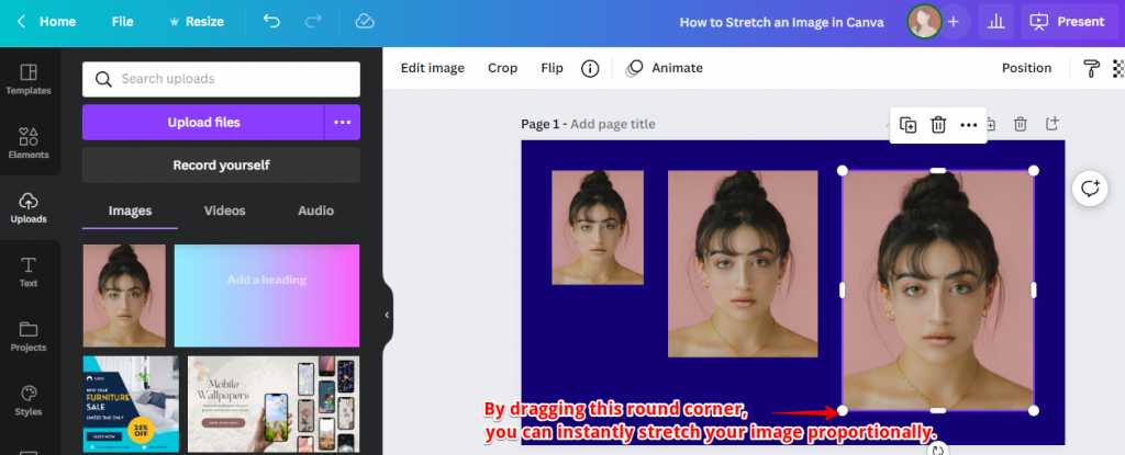 How To Stretch an Image in Canv a? Working 2024 Guide ...